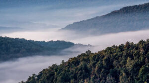 Harrison - Southern Airways Express